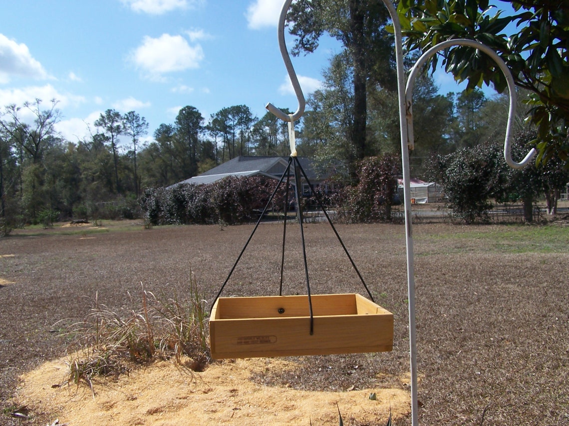 Flatform Hanging Feeder - Etsy