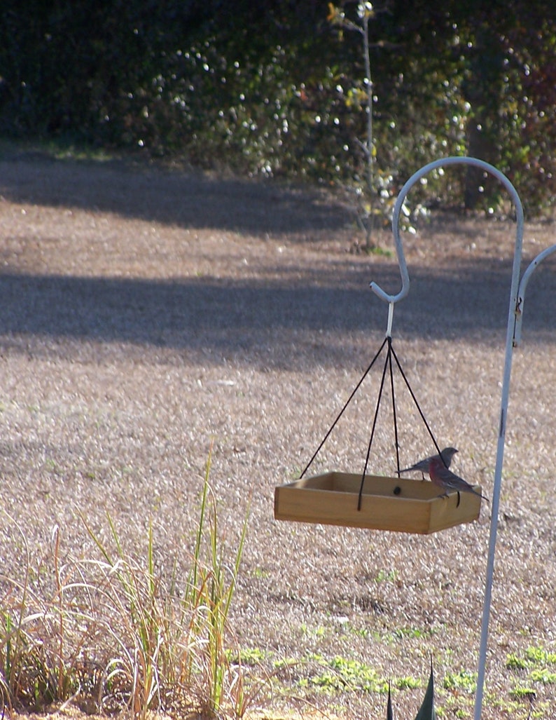 Flatform Hanging Feeder - Etsy