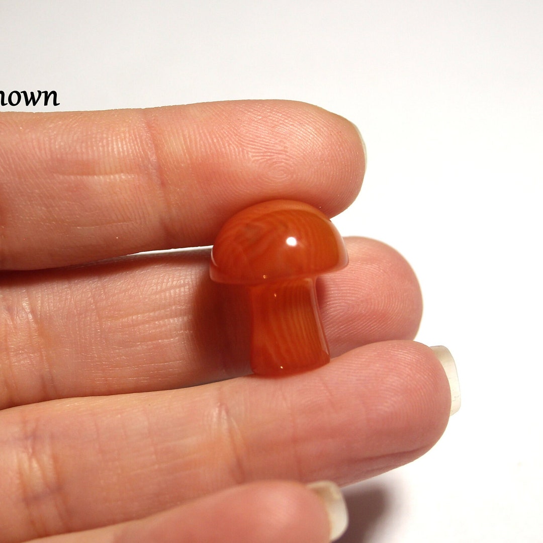 Carnelian Agate Mushroom Statue, Collectable Decoration - Etsy
