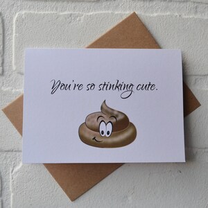 Youre SO STINKING CUTE Funny Valentine Day Card Romance Card Funny Poop ...