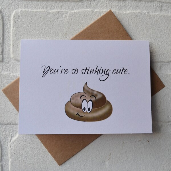 Valentines Card Poop - Etsy