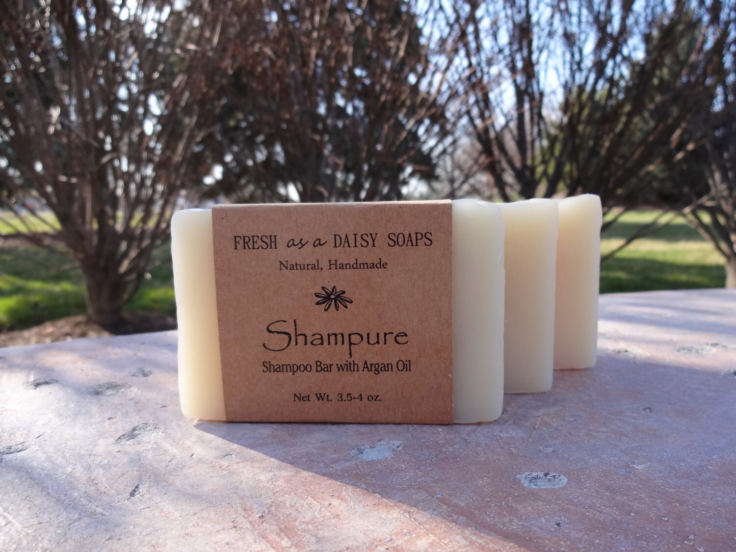 Shampure Shampoo Bar With Argan Oil Natural Handmade Soap - Etsy