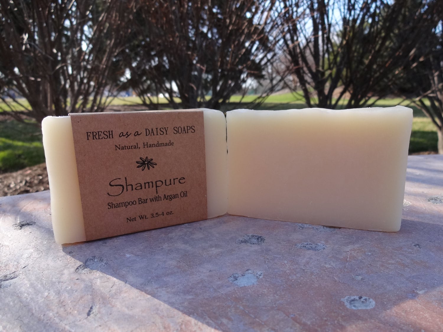 Shampure Shampoo Bar With Argan Oil Natural Handmade Soap - Etsy