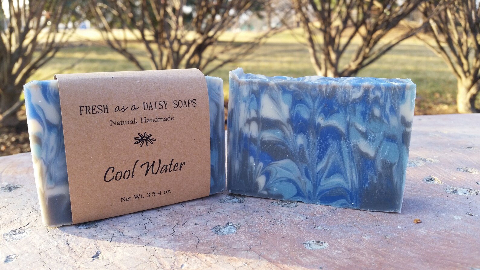 Cool Water Handmade Cold Process Soap Men's Soap Vegan | Etsy
