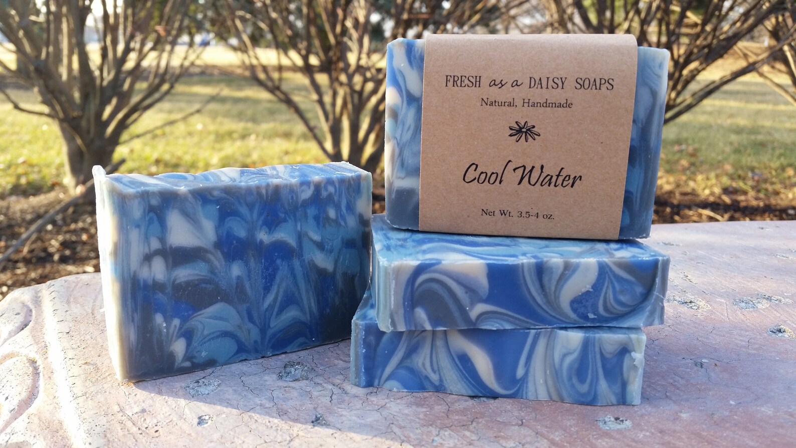 Cool Water Handmade Cold Process Soap Men's Soap Vegan | Etsy