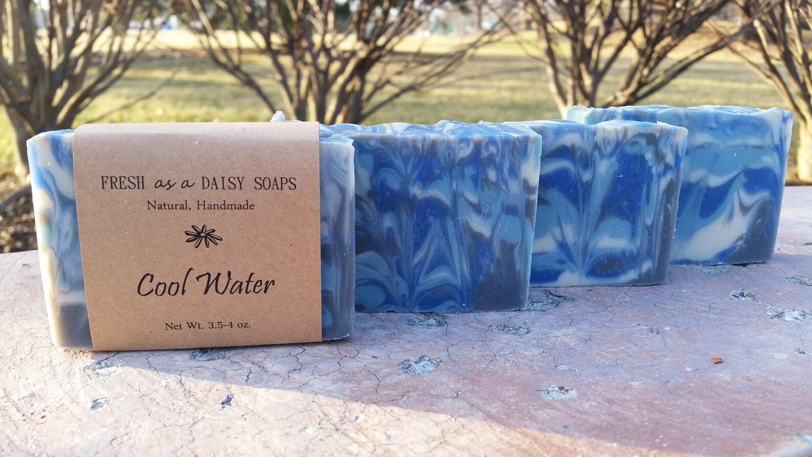 Cool Water Handmade Cold Process Soap Men's Soap Vegan | Etsy