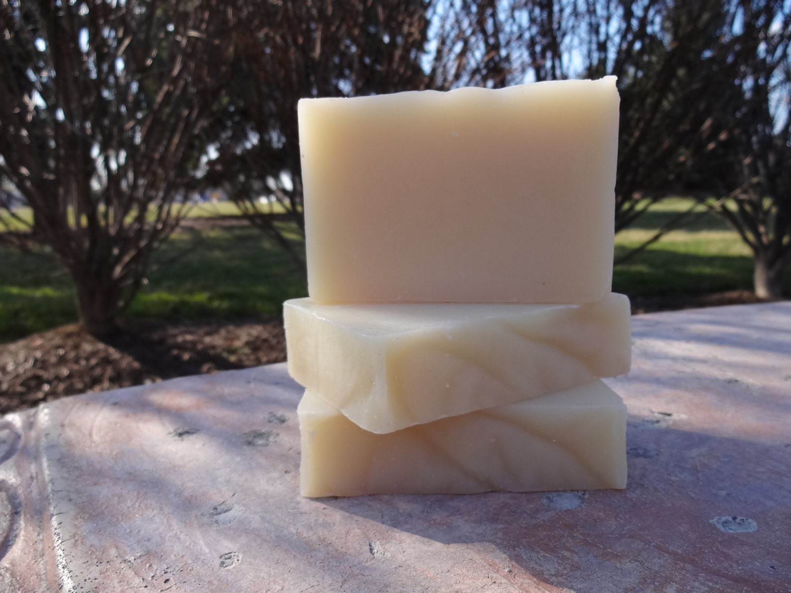 Shampure Shampoo Bar With Argan Oil Natural Handmade Soap | Etsy
