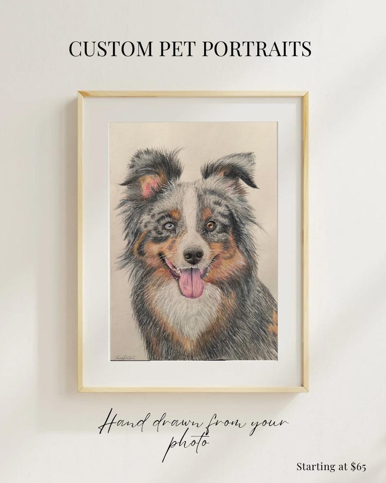 Custom Hand Drawn Pet Portrait From Photo | Dog Cat Drawing (digital ...