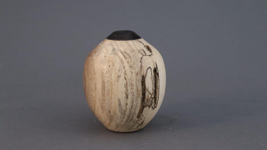 Hackberry Hollow Form (spalted With Worm Holes) IV 7 - Etsy