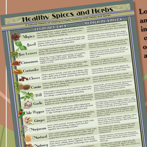 Digital Download: Herbs Spice & Seeds Chart for Kitchen - Etsy Canada