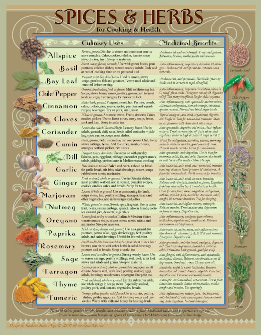 DIGITAL Kitchen Chart: Healing Herbs & Spices - Etsy
