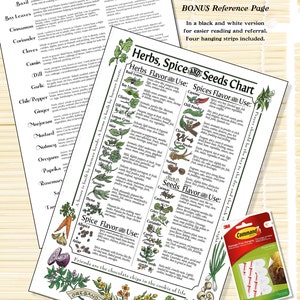 Laminated Cooking Herbs Chart 11x17 - Etsy