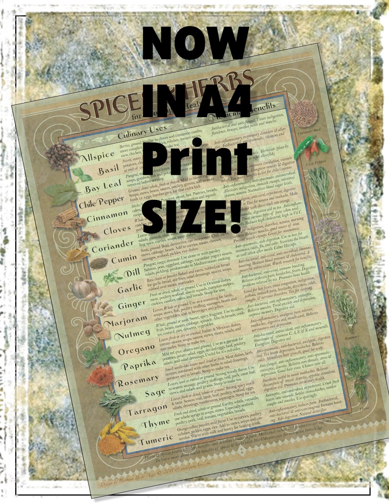 Healing Herbs & Spices Kitchen Chart (digital Download) - Etsy