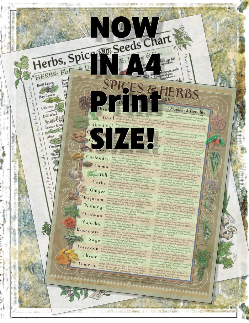 TWO DIGITAL CHARTS! the Healing Herbs & the Cooking Spices - Etsy