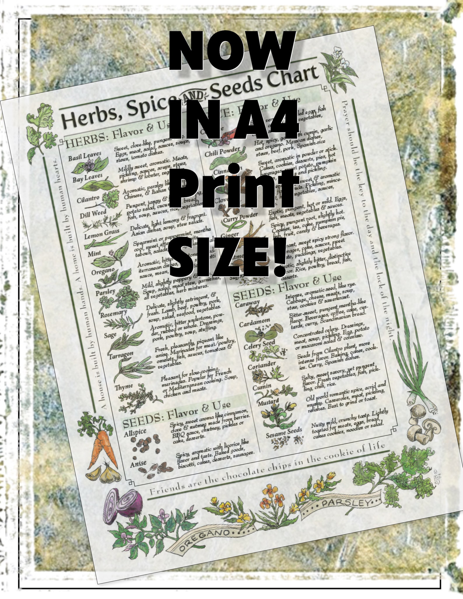 Digital Download: Herbs, Spice & Seeds Chart for Kitchen - Etsy