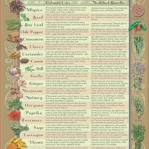 Laminated 8.5x11 Healing Herbs Chart - Etsy