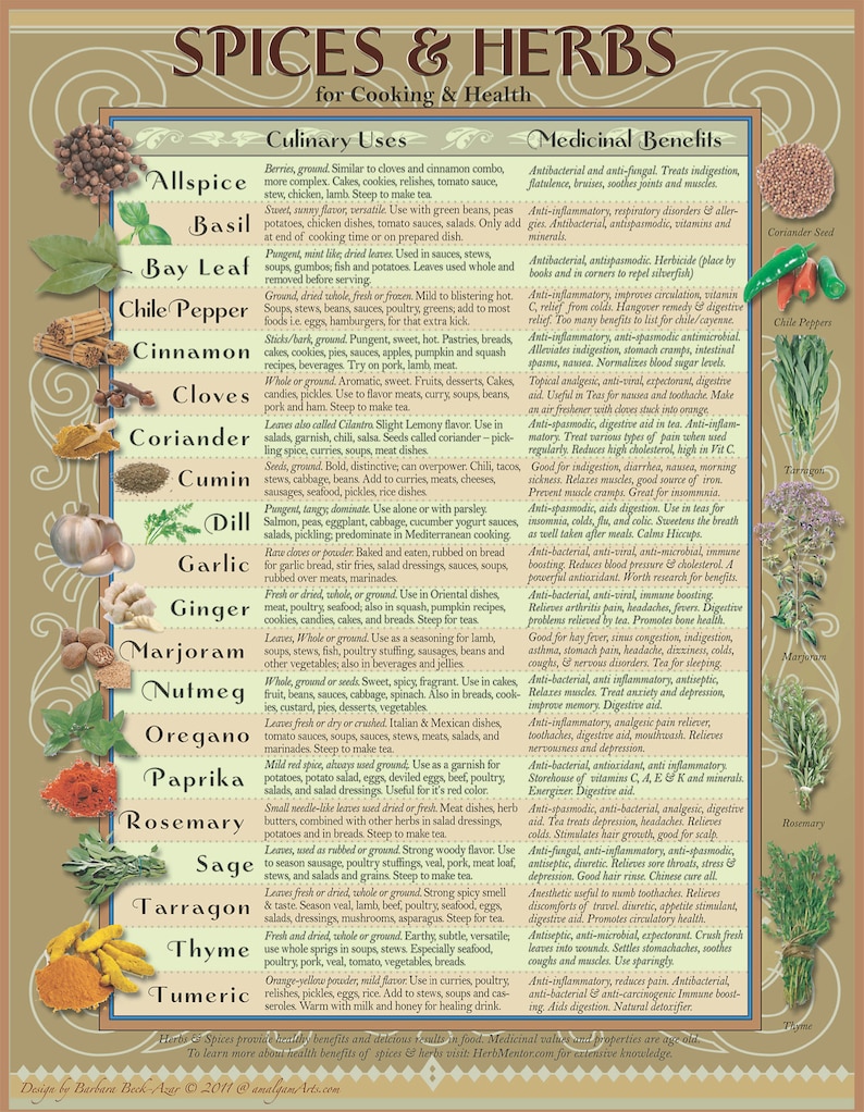 Laminated 8.5x11 Healing Herbs Chart - Etsy