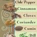 DIGITAL Kitchen Chart: Healing Herbs & Spices - Etsy