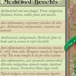 DIGITAL Kitchen Chart: Healing Herbs & Spices - Etsy