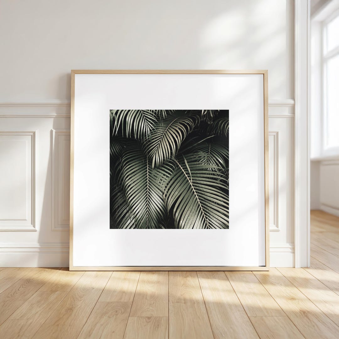 Tropical Photography Print, Living Room, Botanical Wall Art, Fine Art ...