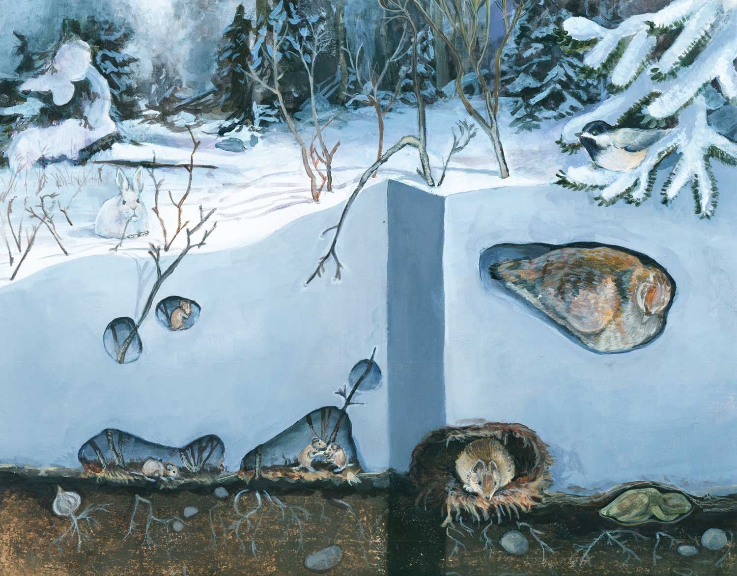 Winter Animals Art Print - Etsy UK