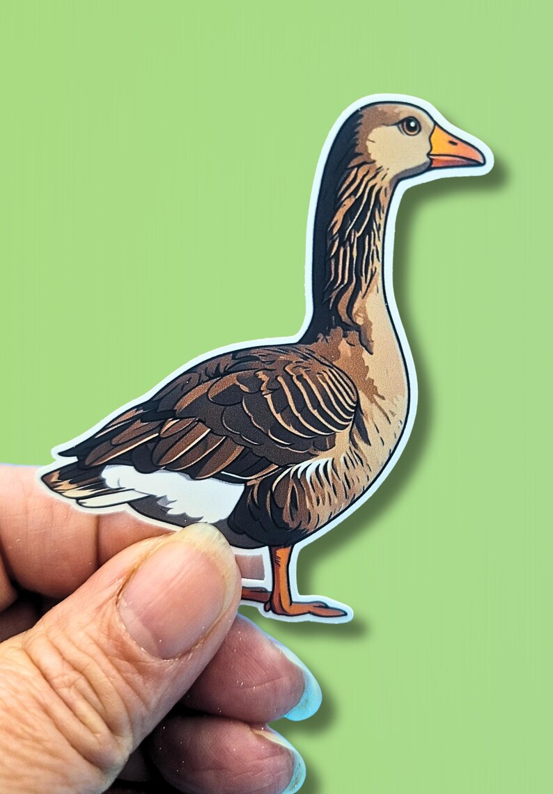 Hashbrown Toulouse Goose Sticker, Farm Bird Vinyl Decal - Etsy