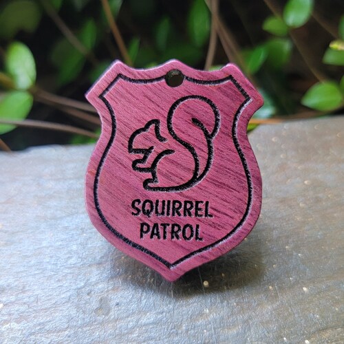 Medium Stainless Steel Squirrel Engraved Pet ID Tag - Etsy