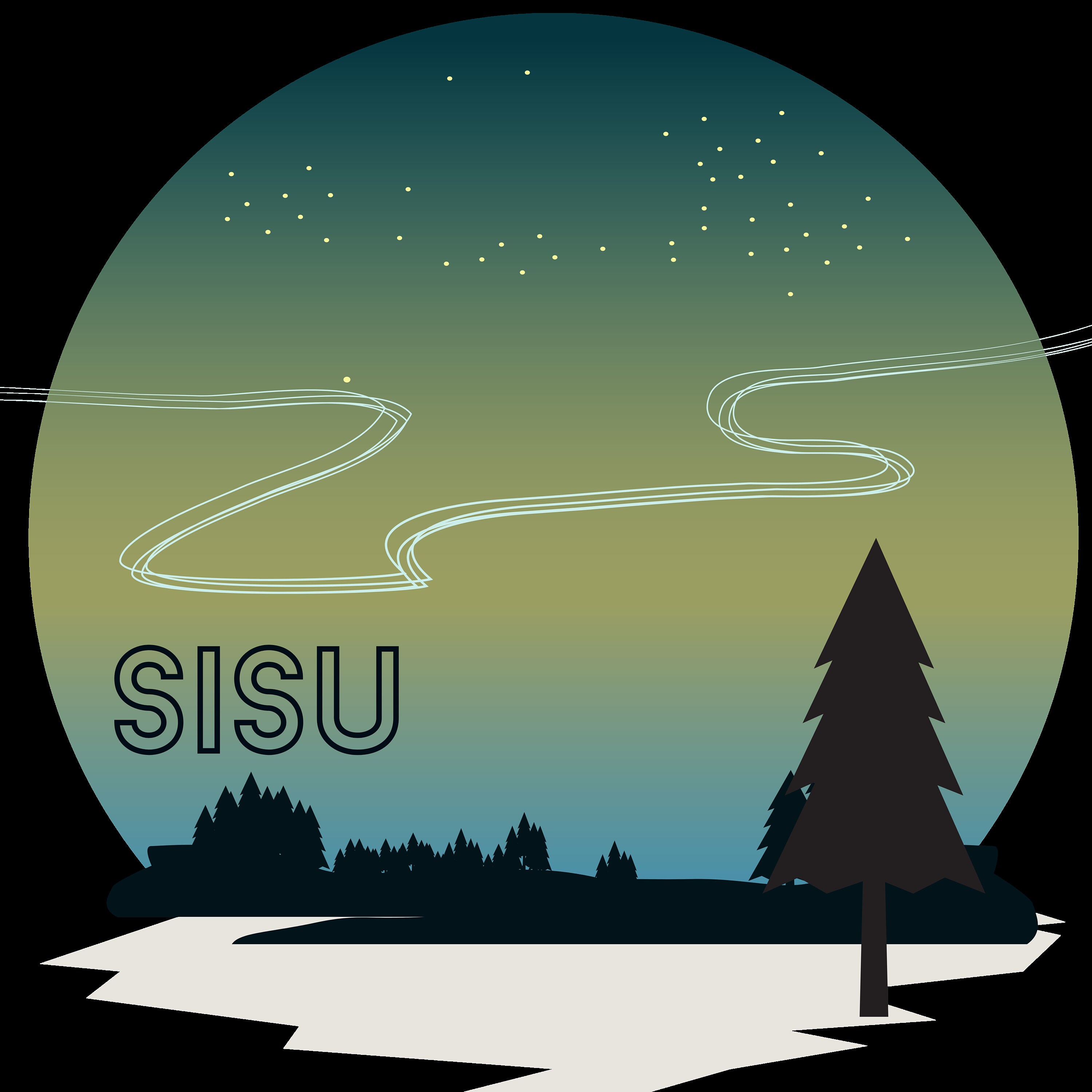 Sisu Mug | Finland Mug | Finnish Mug | Northern Lights Mug | Finnish ...