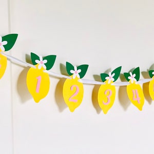 Lemon Photo Banner/ Pink Lemonade Milestone Birthday Banner/ Sweet One ...