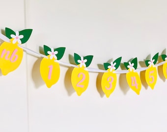 Lemonade Banner, Lemonade Birthday, Pink Lemonade Party, Lemon Banner ...