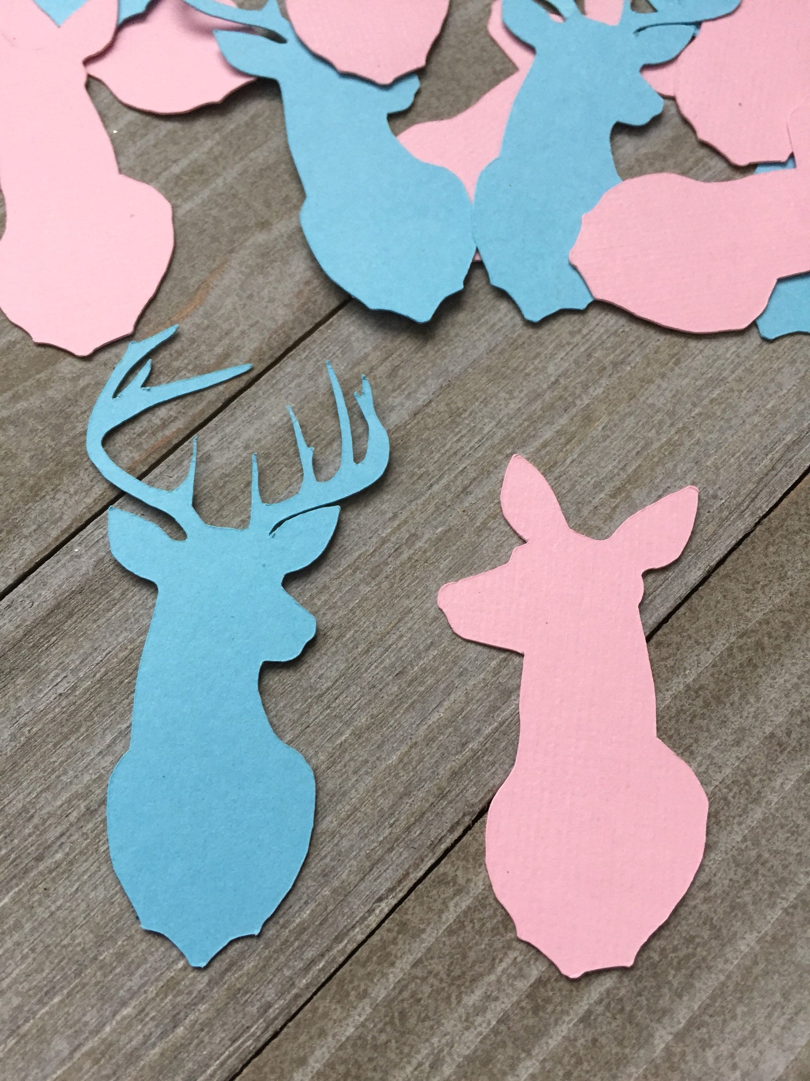 50 Buck and Doe Confetti Pink and Baby Blue Gender Reveal - Etsy