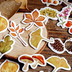 Fall Leaf and Foliage Sticker Set 45 Pieces Fall Foliage - Etsy