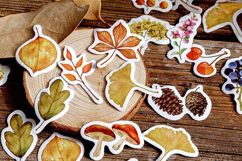 Fall Leaf and Foliage Sticker Set 45 Pieces Fall Foliage - Etsy