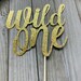 Wild One Centerpiece/cake Topper/first Birthday Decorations/ - Etsy