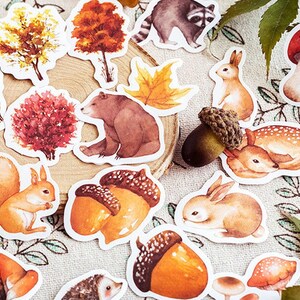 Forest Animal Box Sticker Set 45 Stickers Autumn Forest | Etsy