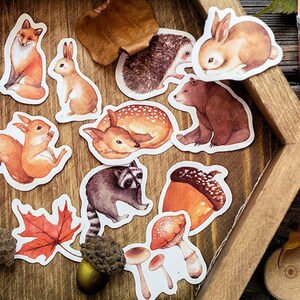 Forest Animal Box Sticker Set 45 Stickers Autumn Forest - Etsy