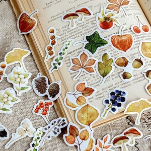 Fall Leaf and Foliage Sticker Set 45 Pieces Fall Foliage - Etsy