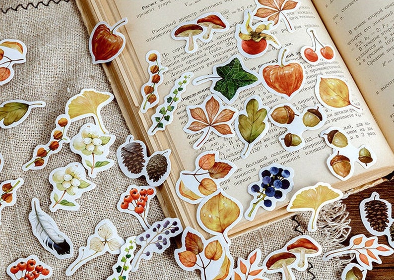 Fall Leaf and Foliage Sticker Set 45 Pieces Fall Foliage - Etsy