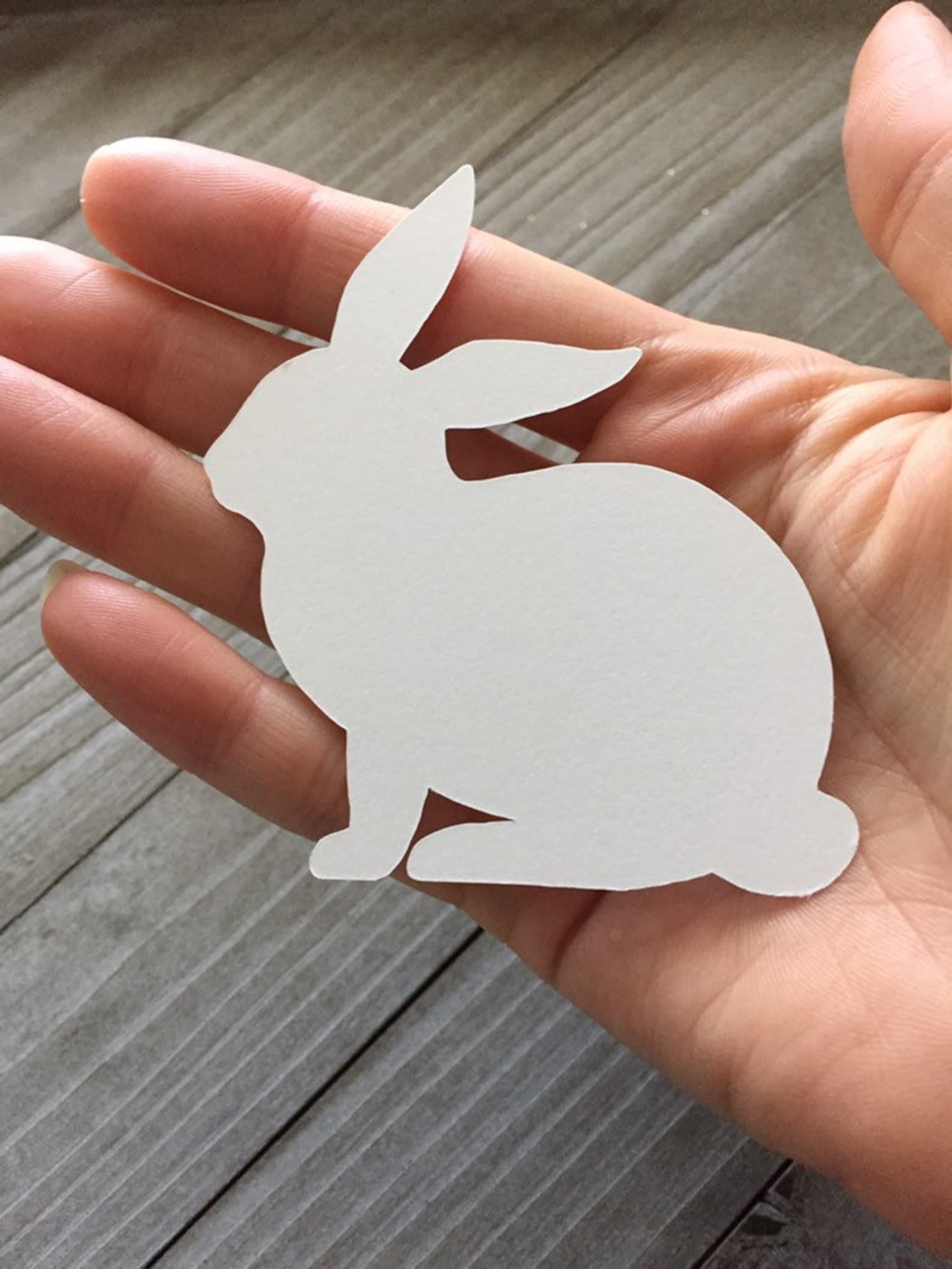 18 Bunny Cut Outs Bunny Rabbit Die Cut Bunny Party Decor - Etsy