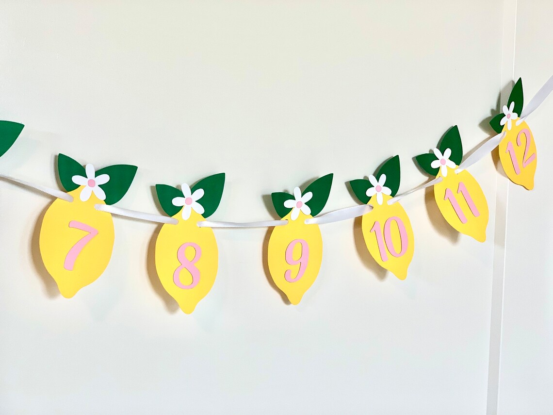 Lemon Photo Banner/ Pink Lemonade Milestone Birthday Banner/ Sweet One ...
