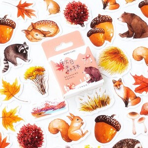 Forest Animal Box Sticker Set 45 Stickers Autumn Forest - Etsy