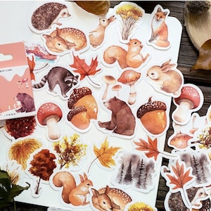Forest Animal Box Sticker Set 45 Stickers Autumn Forest - Etsy