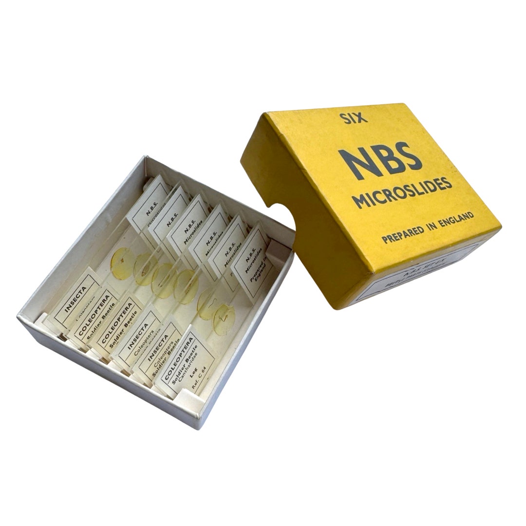 NBS Microslides, Circa 1960s, Six Slides, Beetle Parts. - Etsy