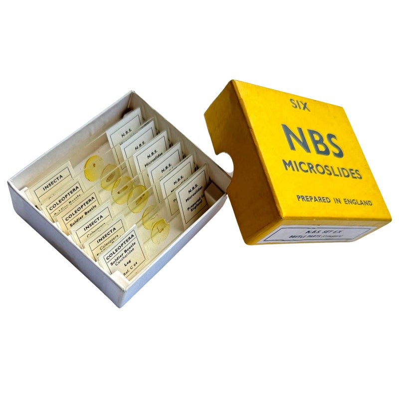 Microscope Slides - Etsy