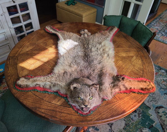 1950's Vintage Full Body Bobcat Pelt Rug Authentic Original Oddities ...
