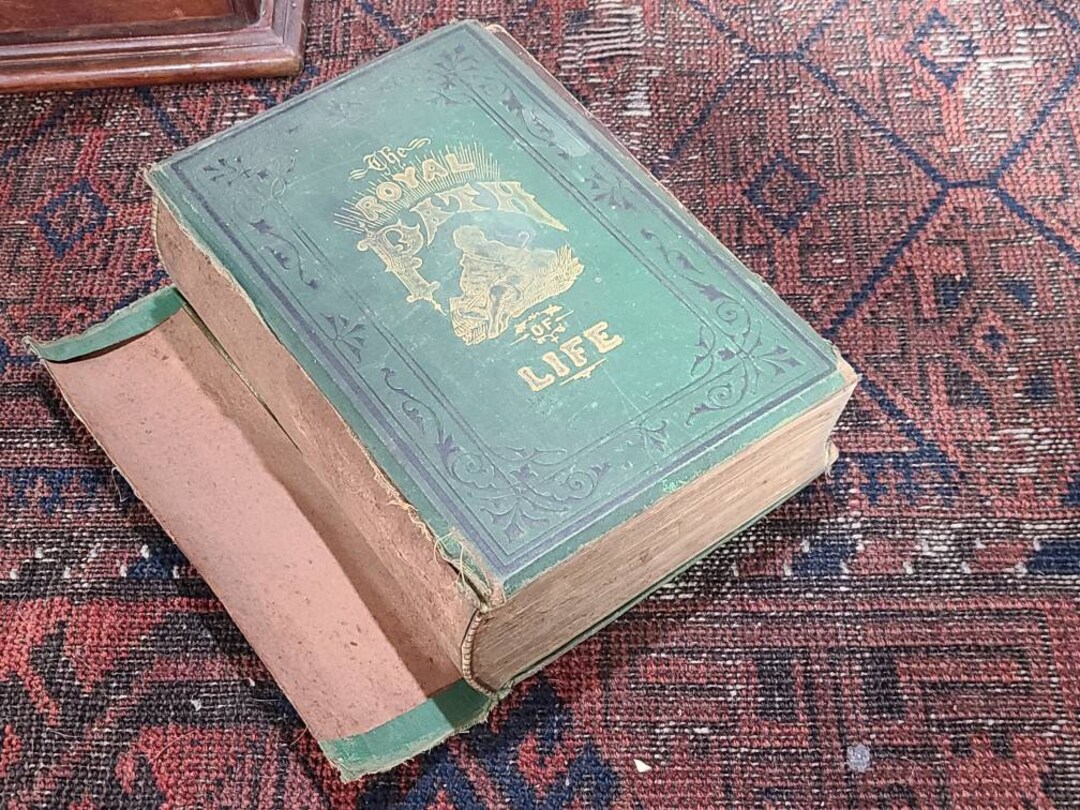 Antiquarian Hardcover Book 1878 the Royal Path of Life or Aims and Aids ...
