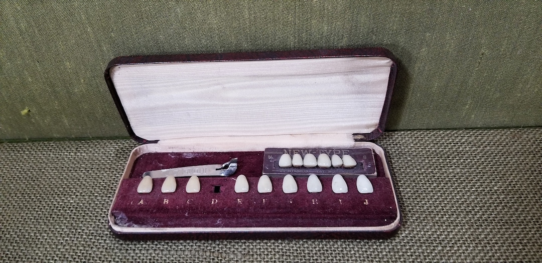 Doctor Myerson's Color Shade Scale Teeth for Dentist Dental DDS With ...