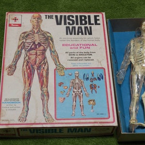 Good Used Condition Vintage the Visible Man in Original Box Human Model ...