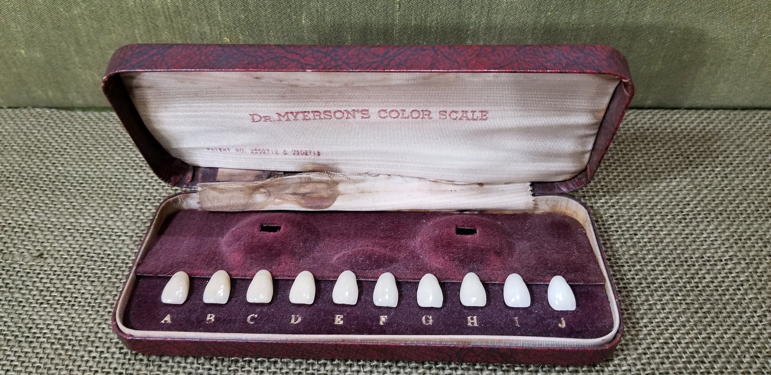 Doctor Myerson's Color Shade Scale Teeth for Dentist | Etsy