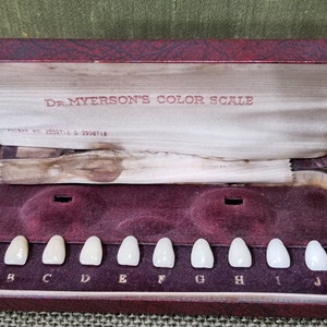 Doctor Myerson's Color Shade Scale Teeth for Dentist | Etsy
